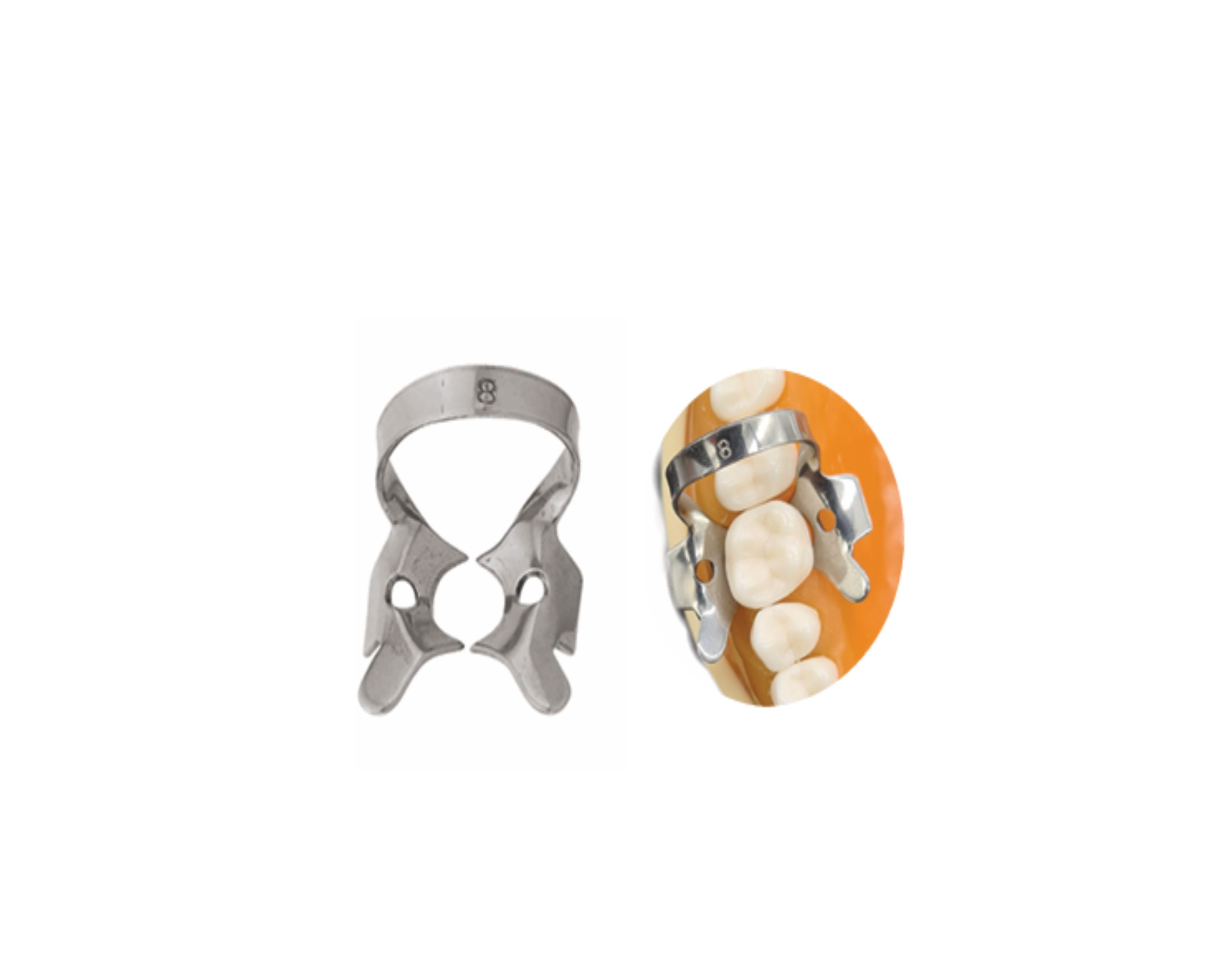 Grapa P/Dique Hule 8 6B-053 – Zona Dental